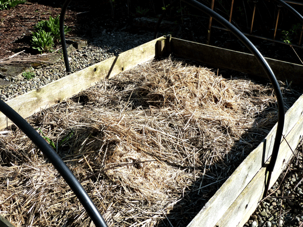straw-beds | Hip Chick Digs